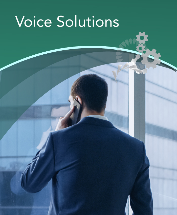 Voice Solutions